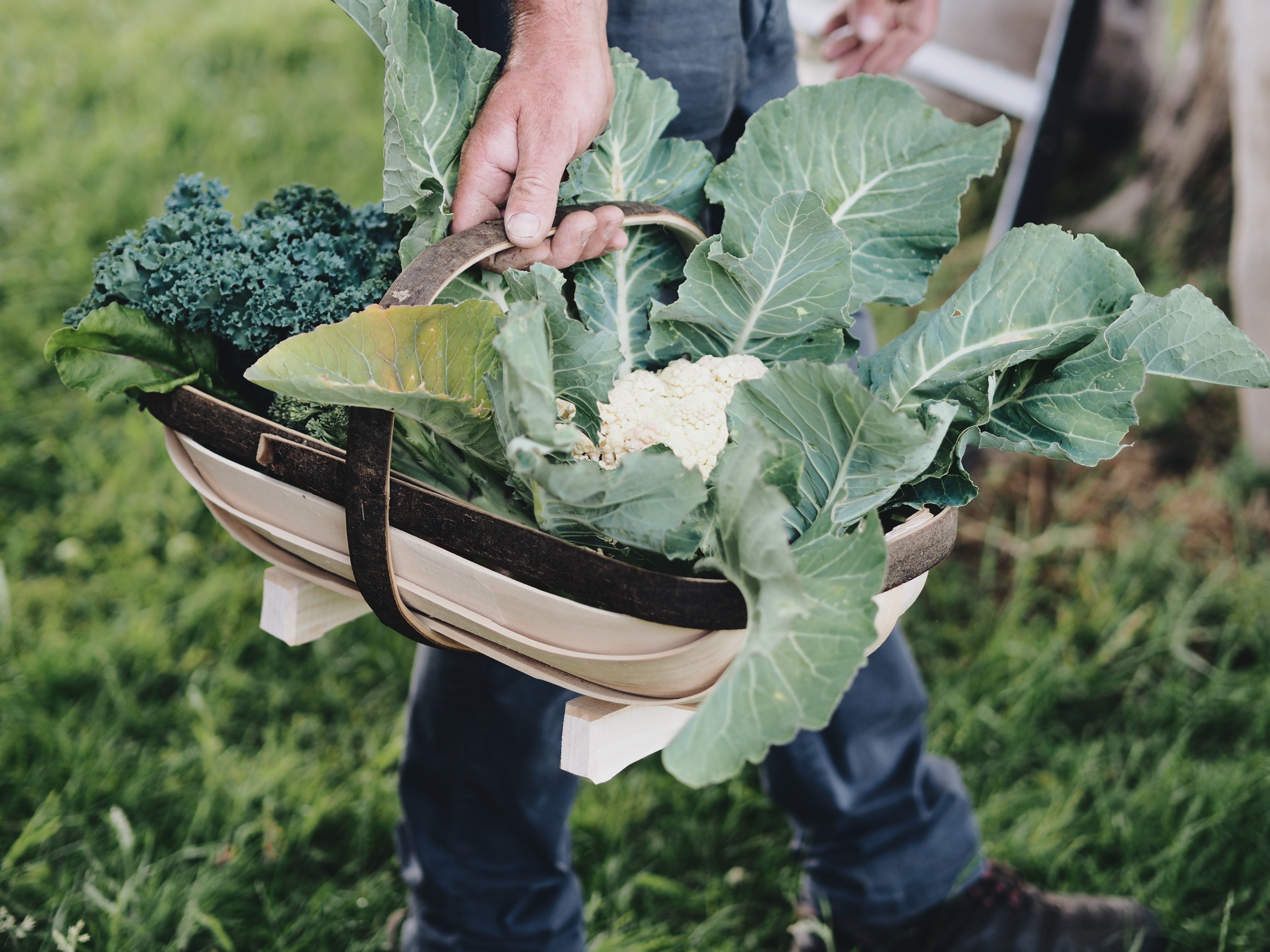 The Truggery | The Home of Traditional Handmade Sussex Trugs