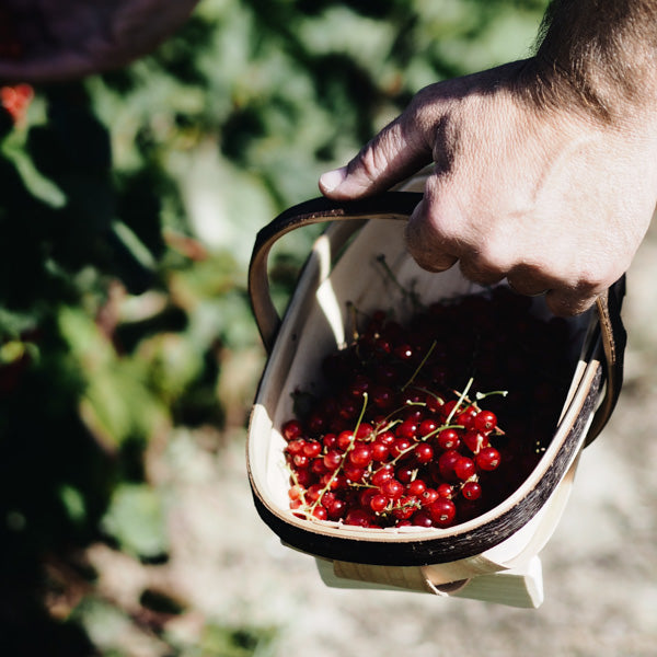 The Truggery | The Home of Traditional Handmade Sussex Trugs